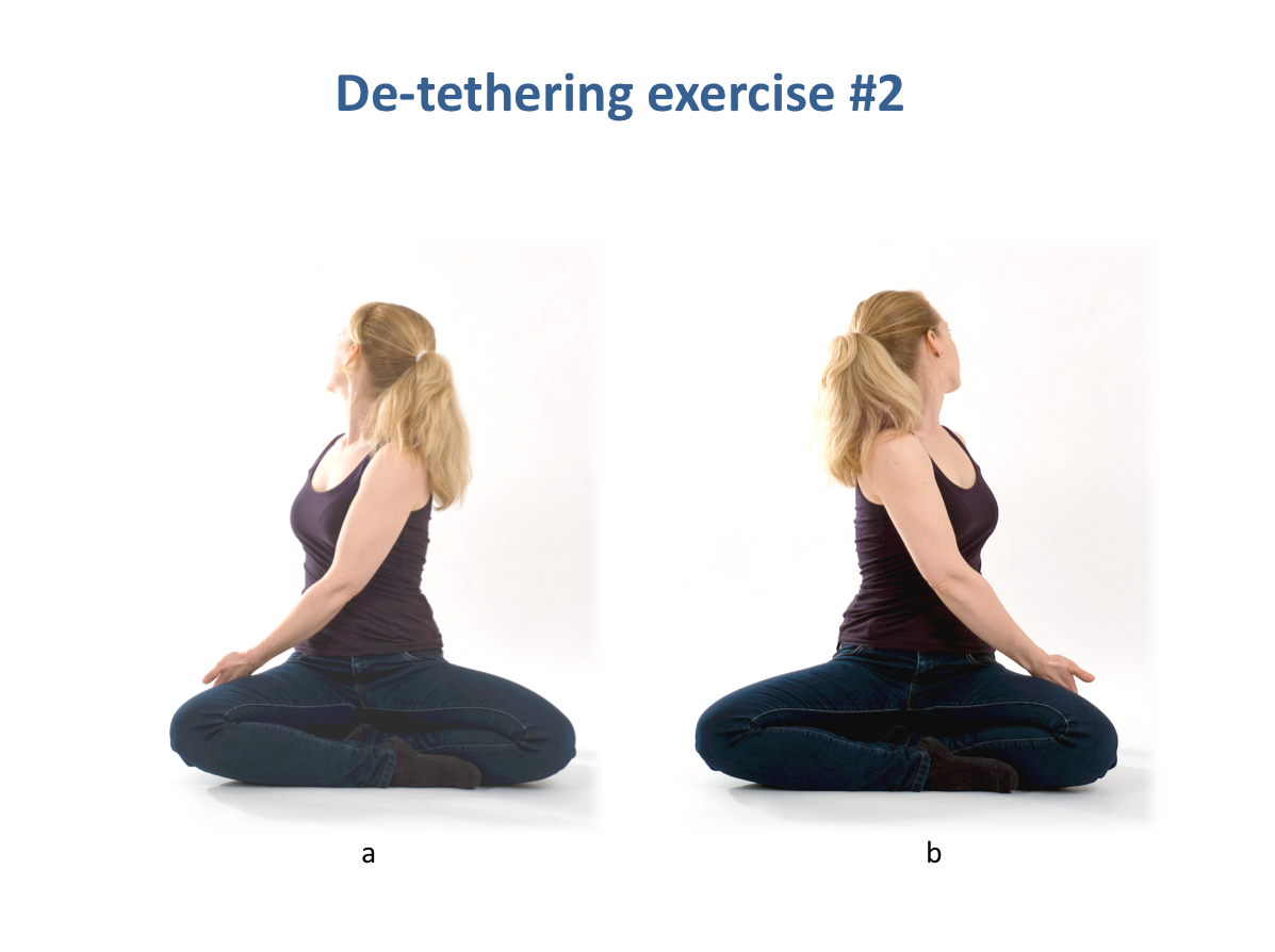 History of the Best Practice Program | Schroth Best Practice Academy